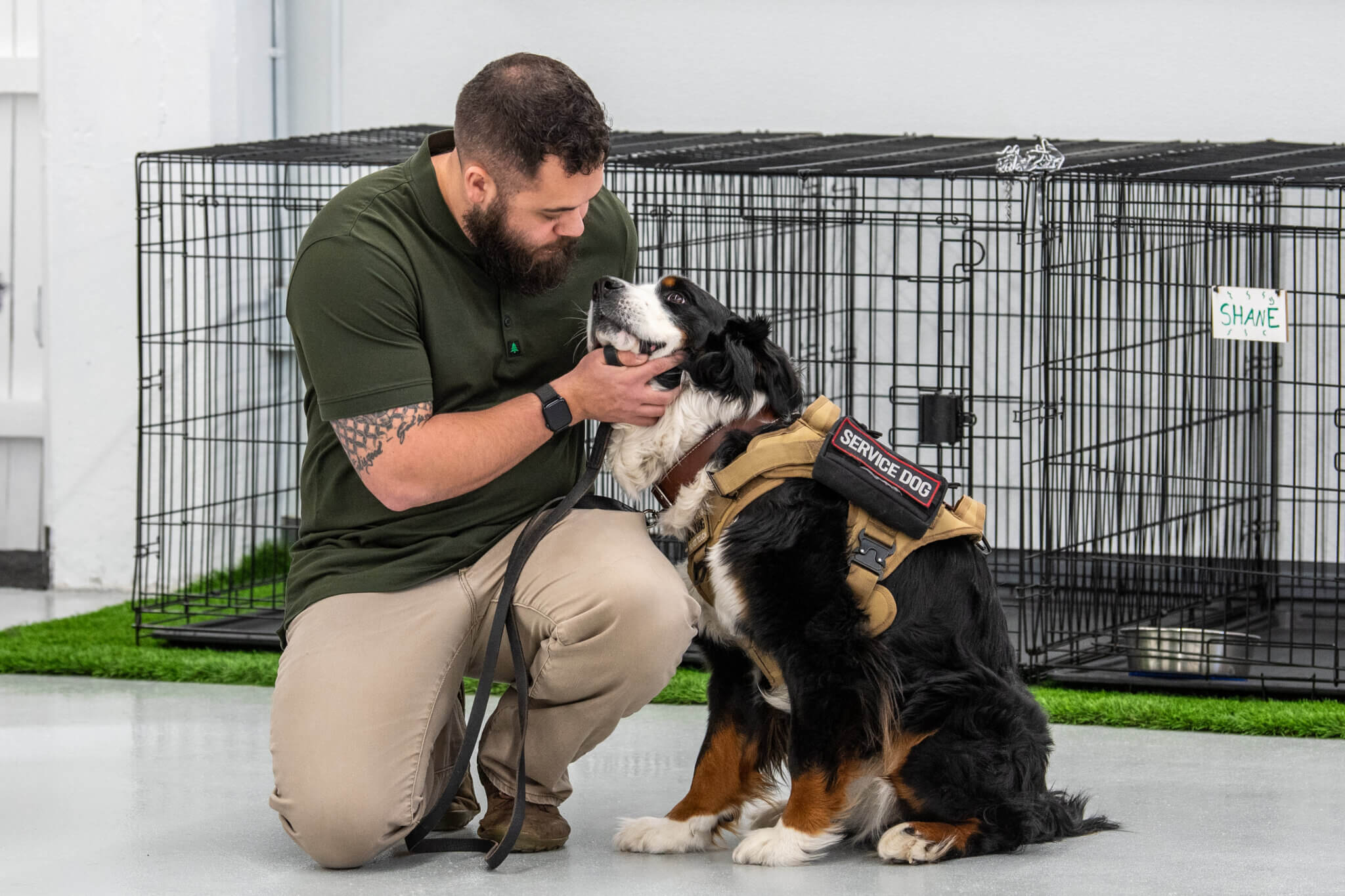 Service Dog Program - Clear Path for Veterans New England